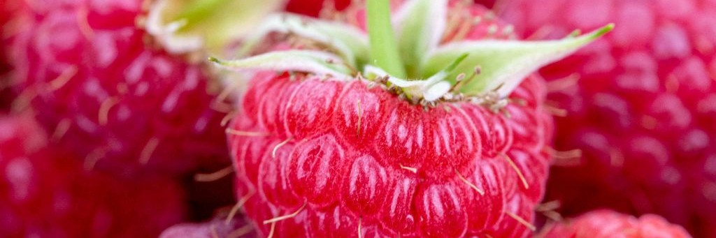 Я ВЕРЮ В ЧУДЕСА I BELIEVE IN MIRACLES