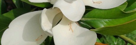 МаМа На ВсЕ РуКи