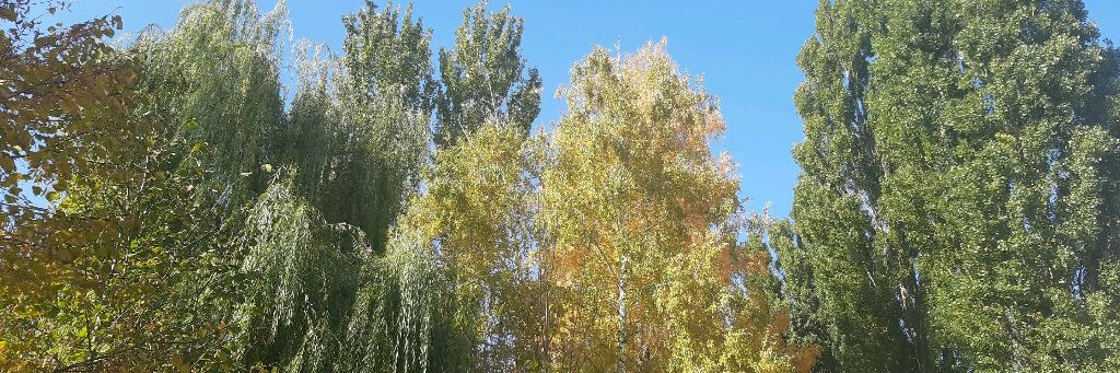 Алексей Владимирович.