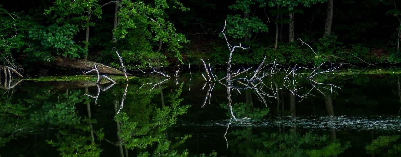 Женские хитрости