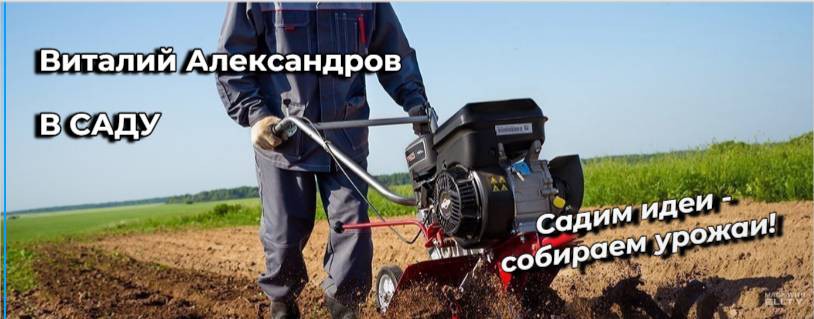 Виталий Александров  В САДУ