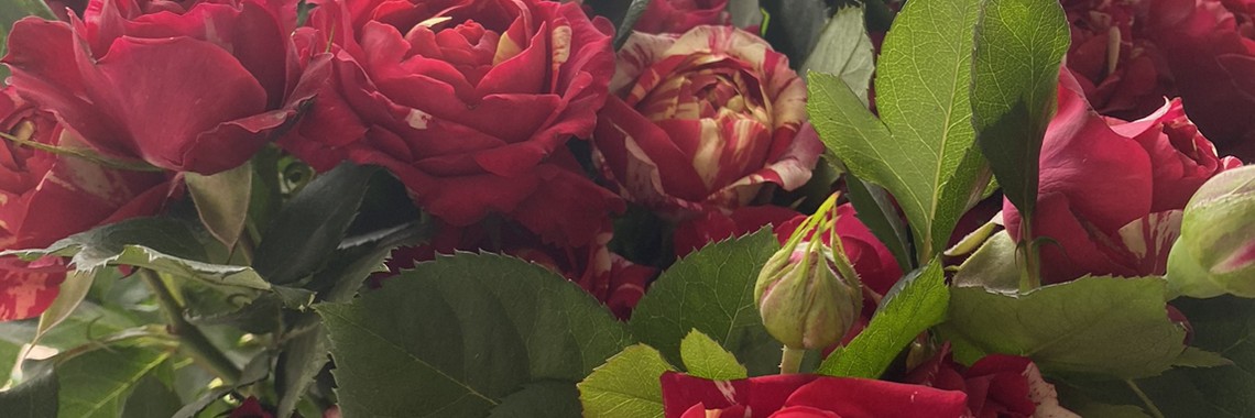 Виктория Гришина