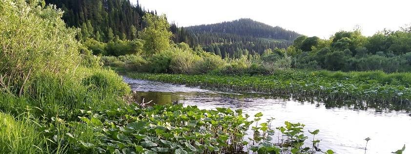 Шорский национальный парк