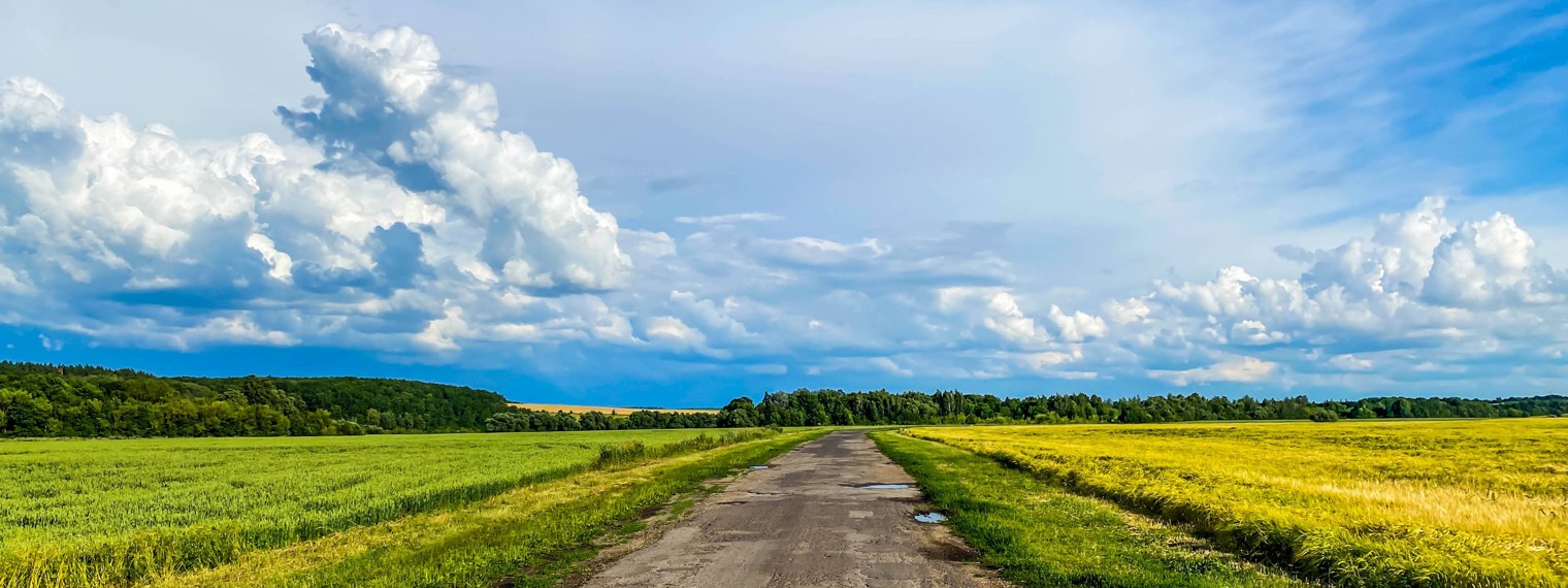 Прекрасное рядом