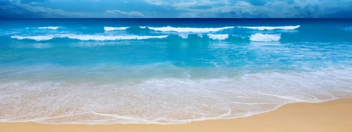 Приколы с животными