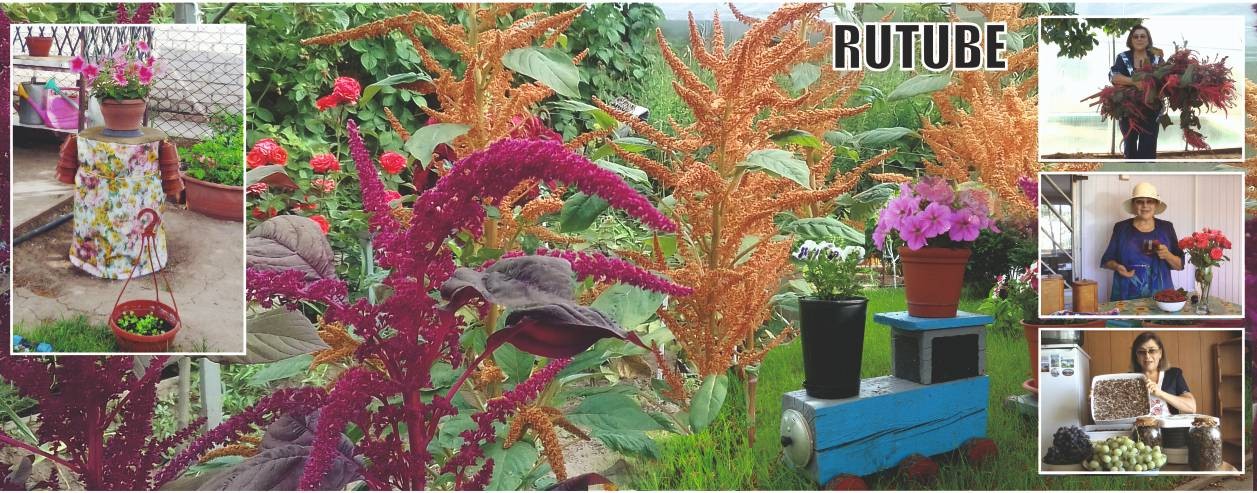 САД 5 СОТОК Людмилы