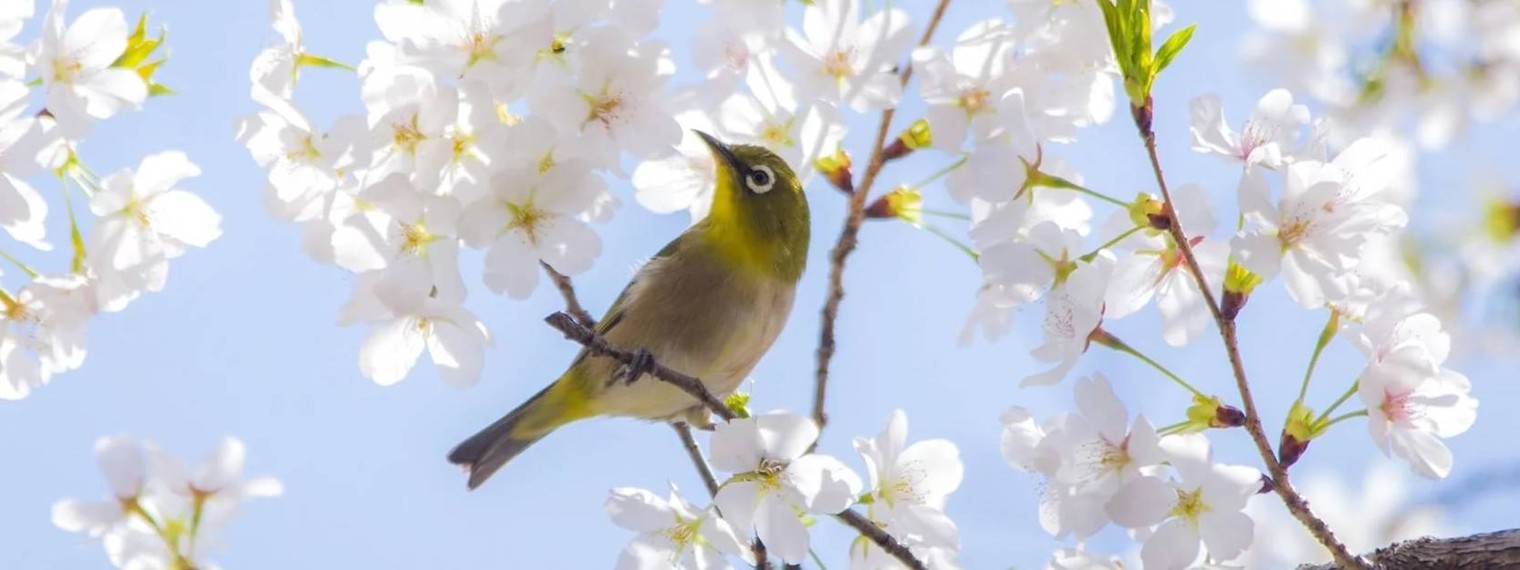 Татьяна Щурина