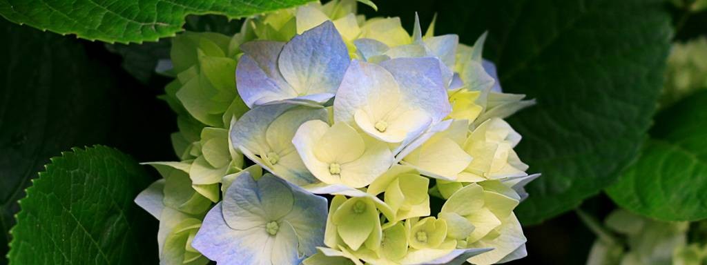 Василий Акимов. Реальный взгляд на жизнь