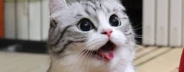 канал по камару