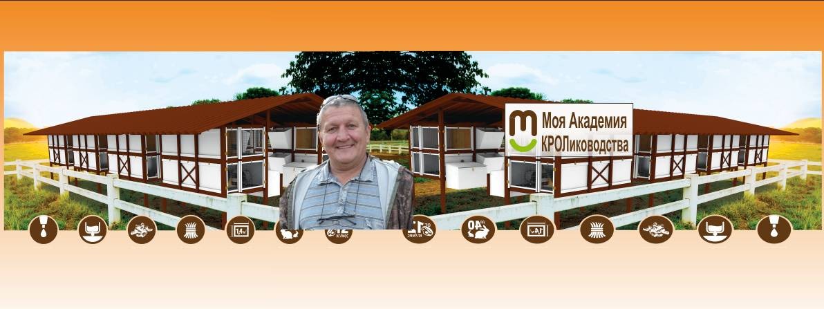 Деревенская жизнь