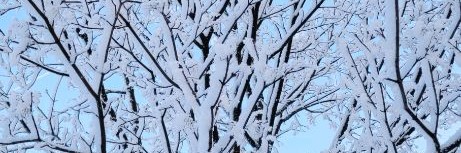 Александра