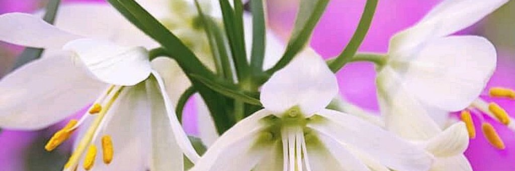 Людмила 60 открытки