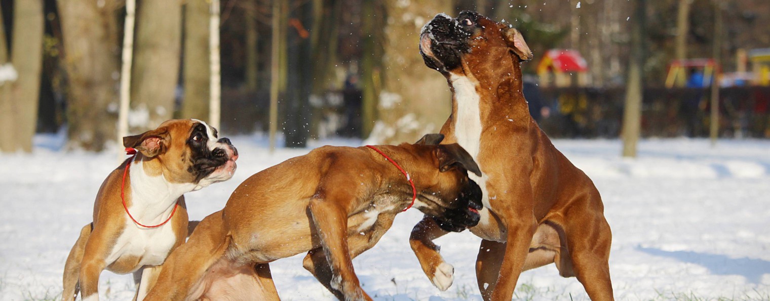 В Зените Удачи