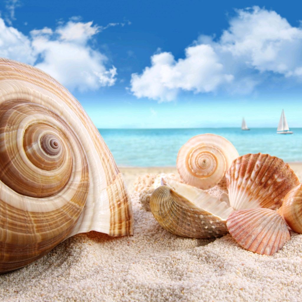 ЛАЗУРНОЕ ТАРО ?