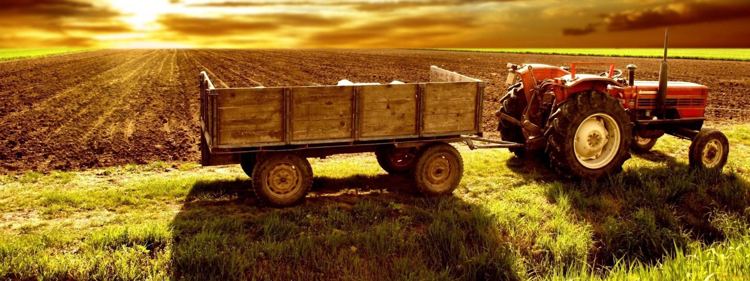 ТрИ ГеКтАрА