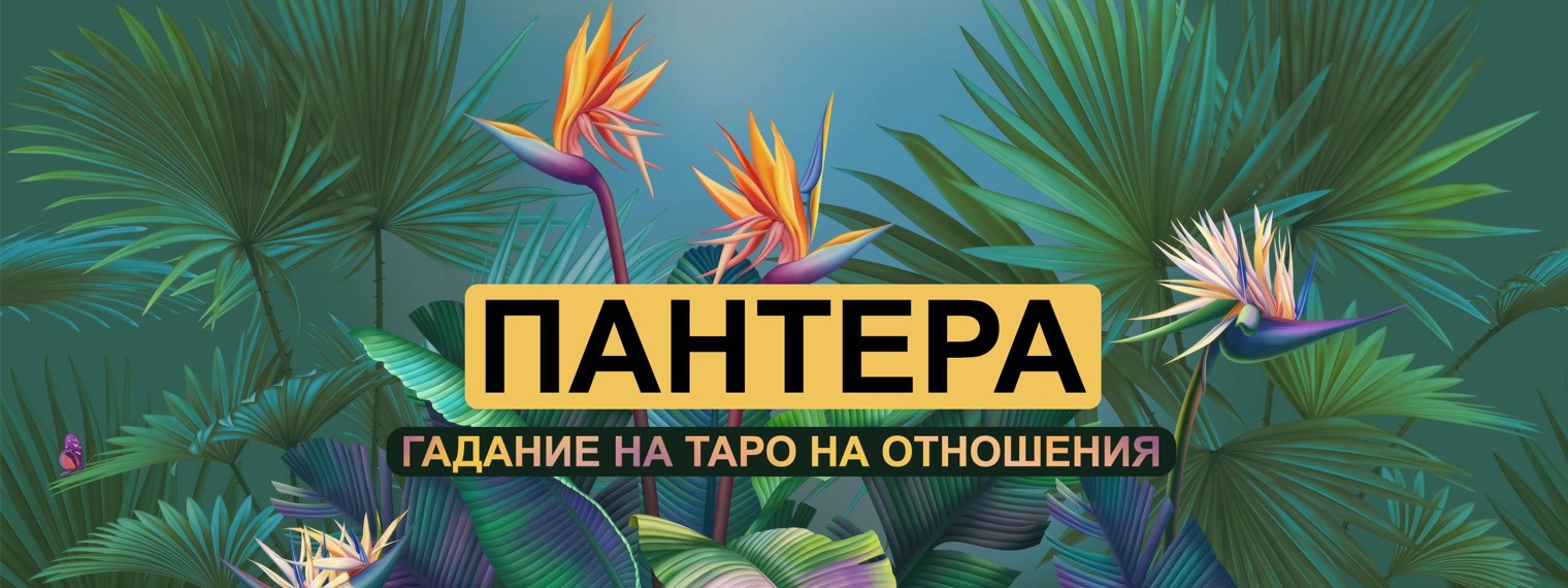 ПАНТЕРА | Таро Гадание Онлайн