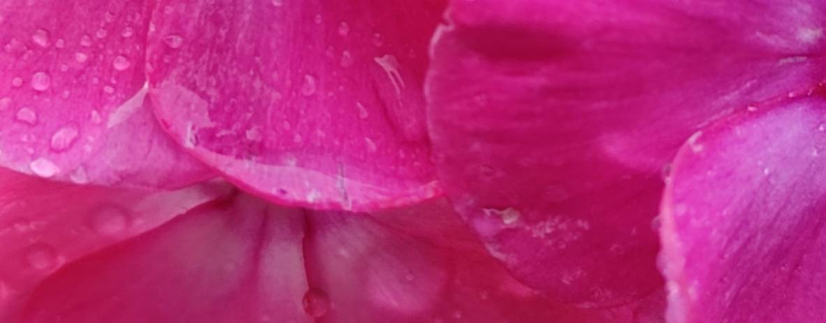 Фея Фиалка 🌸 АСМР