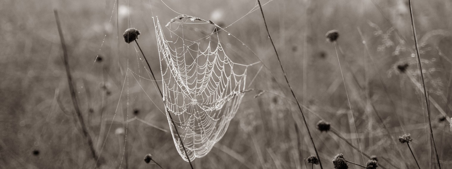 Константин Семенов