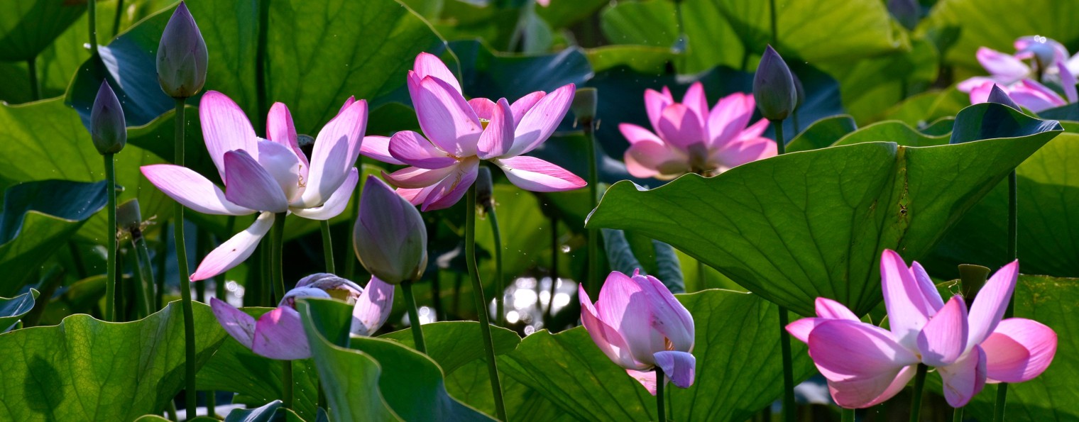 СПУТНИК-АСТРАХАНЬ