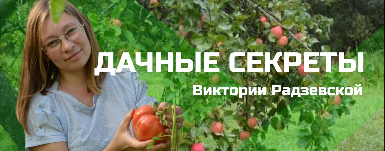 Дачные секреты от Виктории Радзевской