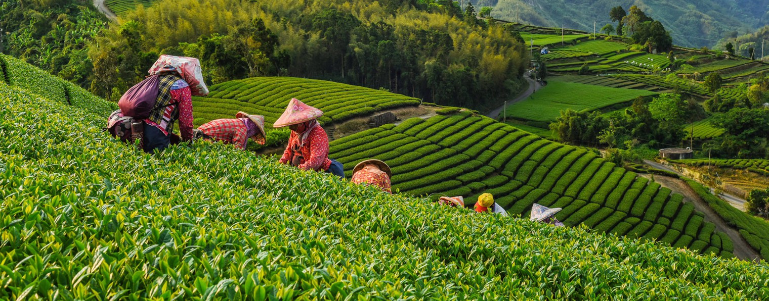 Igor Koposov Игорь Копосов 伊戈尔