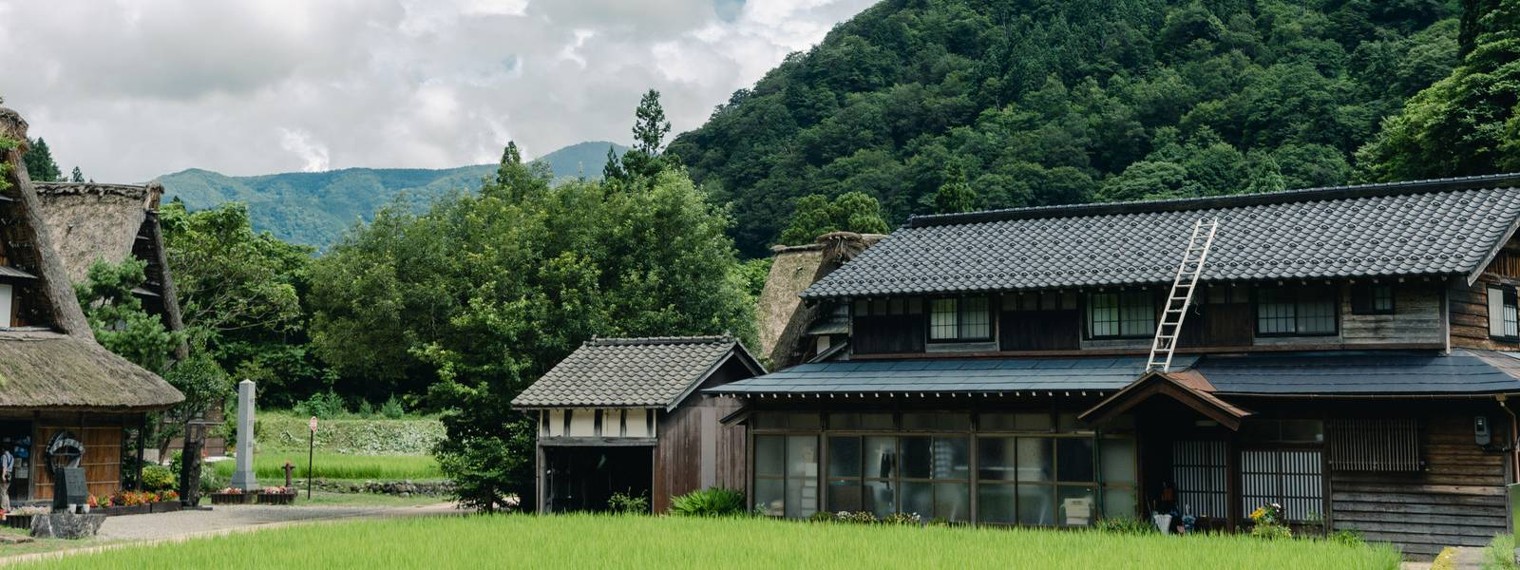 Японская кошка