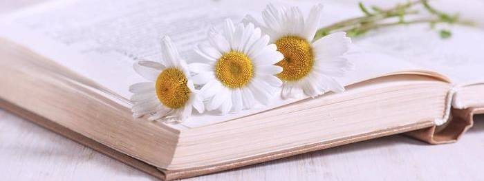 МКУК "Библиотека станицы Бородинской"