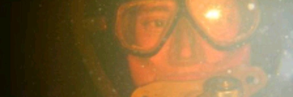 Темнила Темнилин