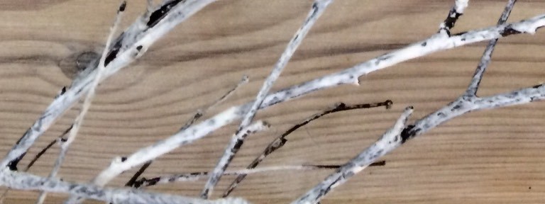 Елена Крассула