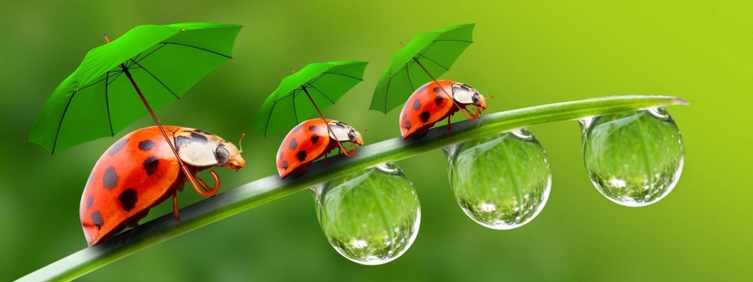 ВОКРУГ ЖИЗНИ ?