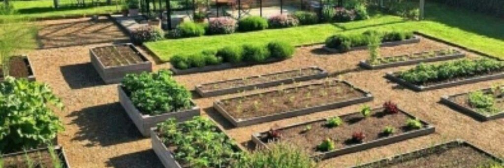 СОДОВО-ДАЧНЫЕ ДЕЛА С АЛЕКСЕЕМ!