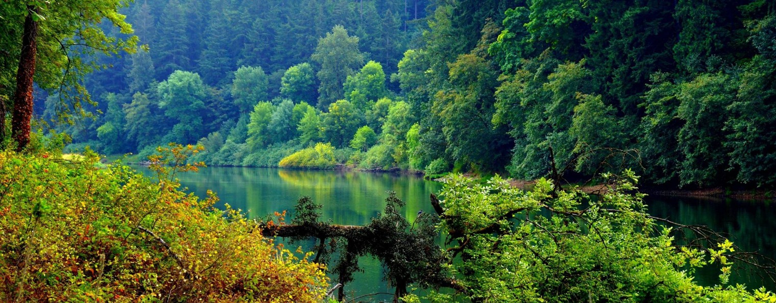 Музыка без рекламы