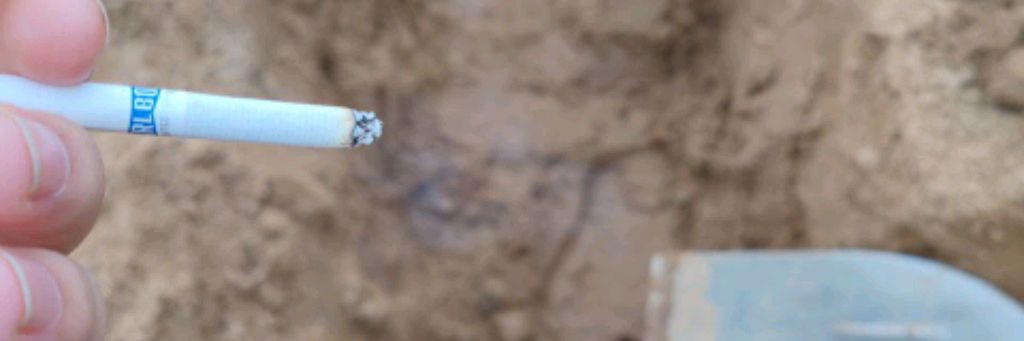 Библиотека