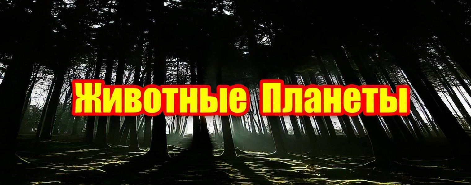 Животные Планеты