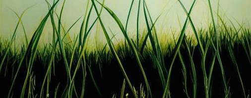 Евген&ЗигЗаг