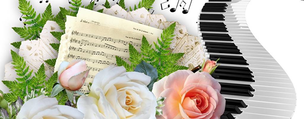 Уроки сольфеджио