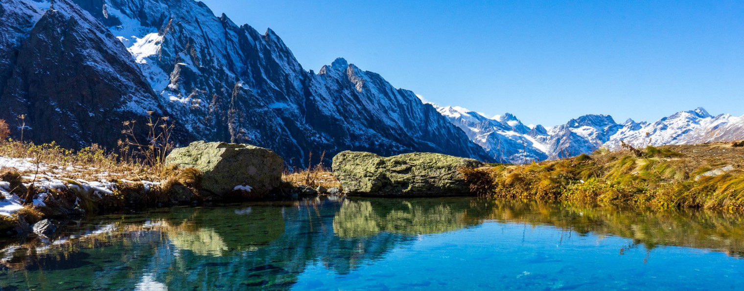 Дмитрий "NyangDimak"  Рюхин