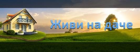 Живи на Даче