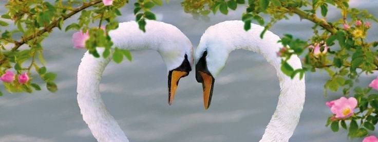 Жизнь-это любовь