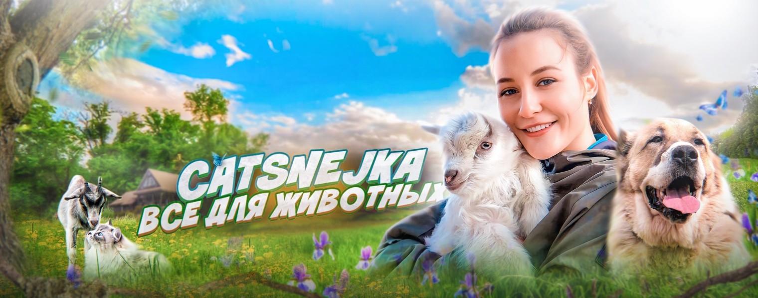Catsnejka Мой пушистый питомец