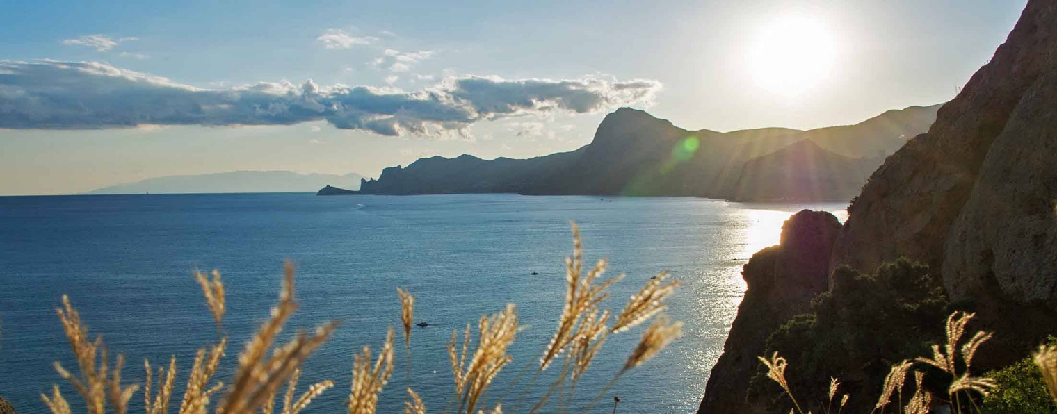 Глава Республики Крым