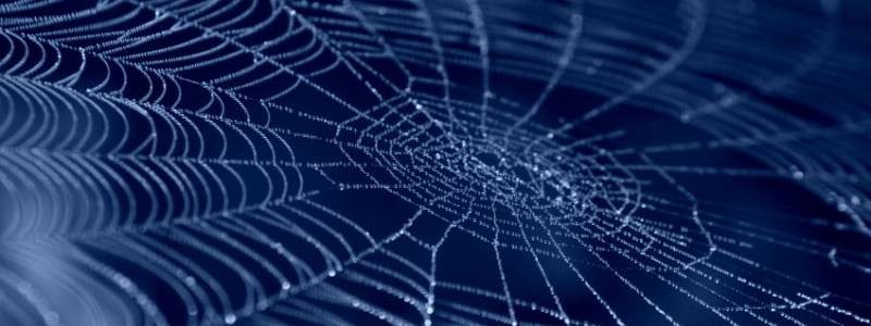 "Железная паутина"