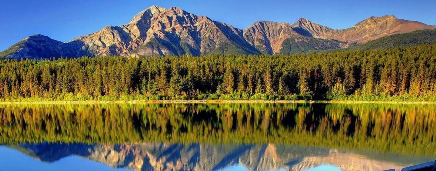 Гитарный процессор