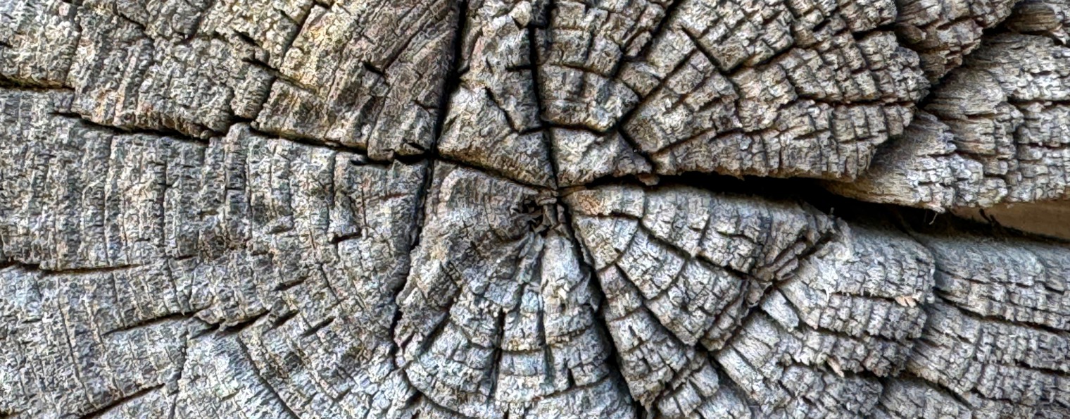 Съемка и монтаж для души и не только