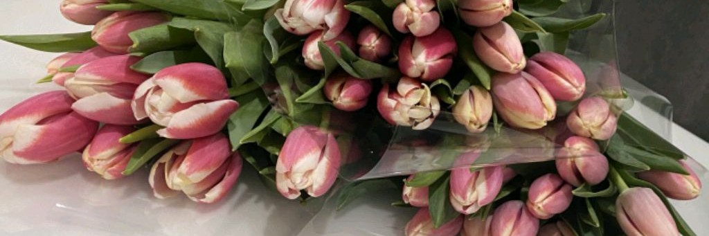 Анюхина Евгения