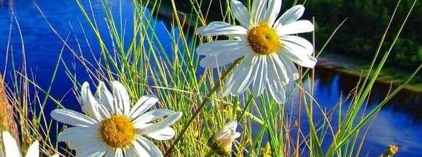 Татьяна Ивановна Мамедова