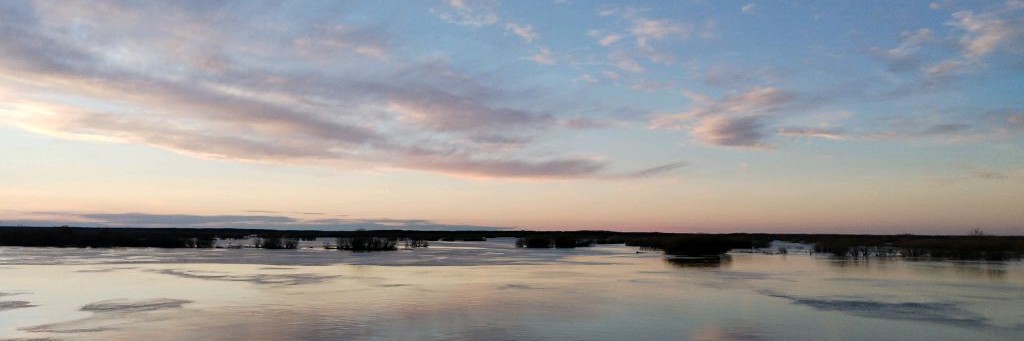 Путешественница по России