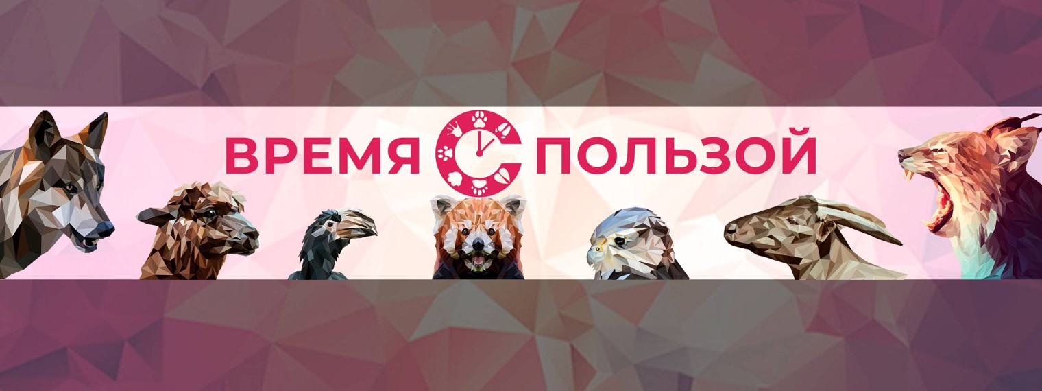 Время с пользой