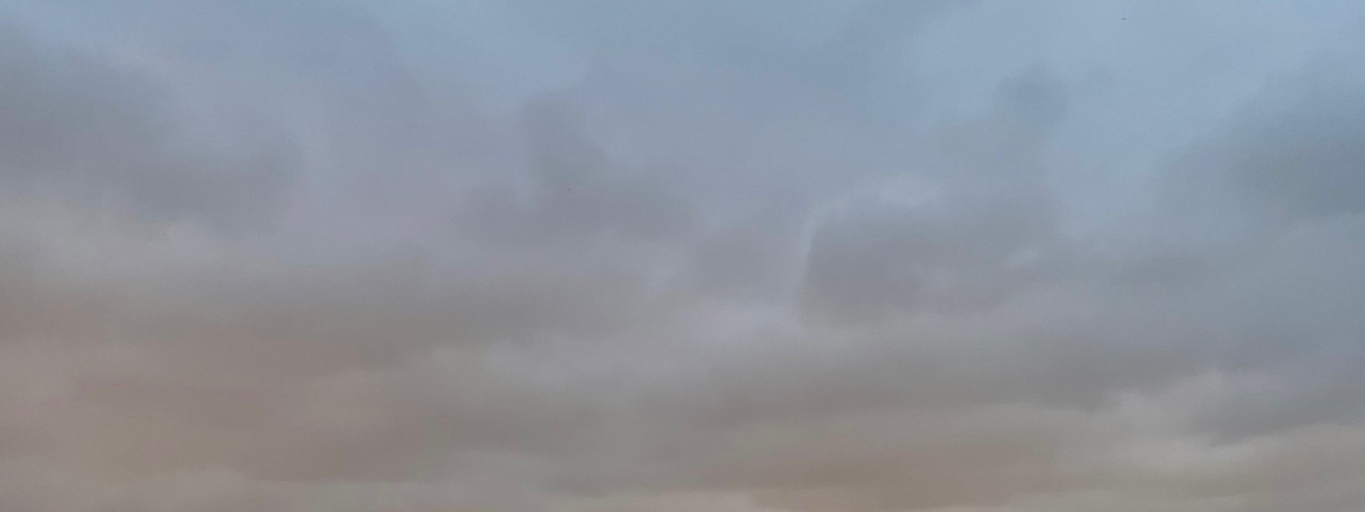 Даня Шевцов