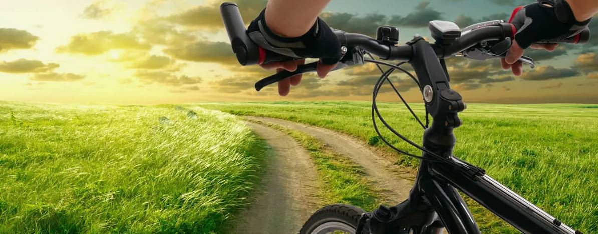 Жизнь вокруг